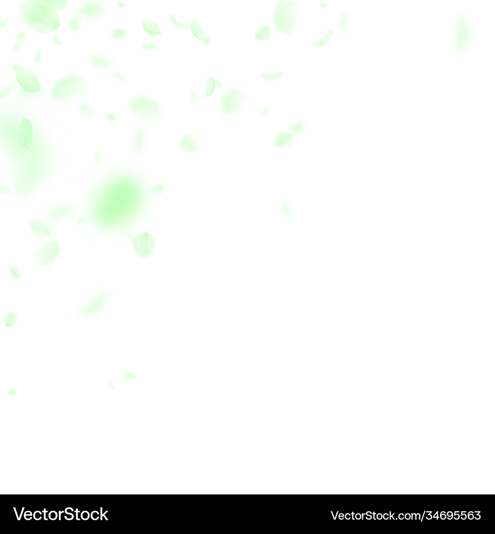 Green flower petals falling down resplendent roma Vector Image