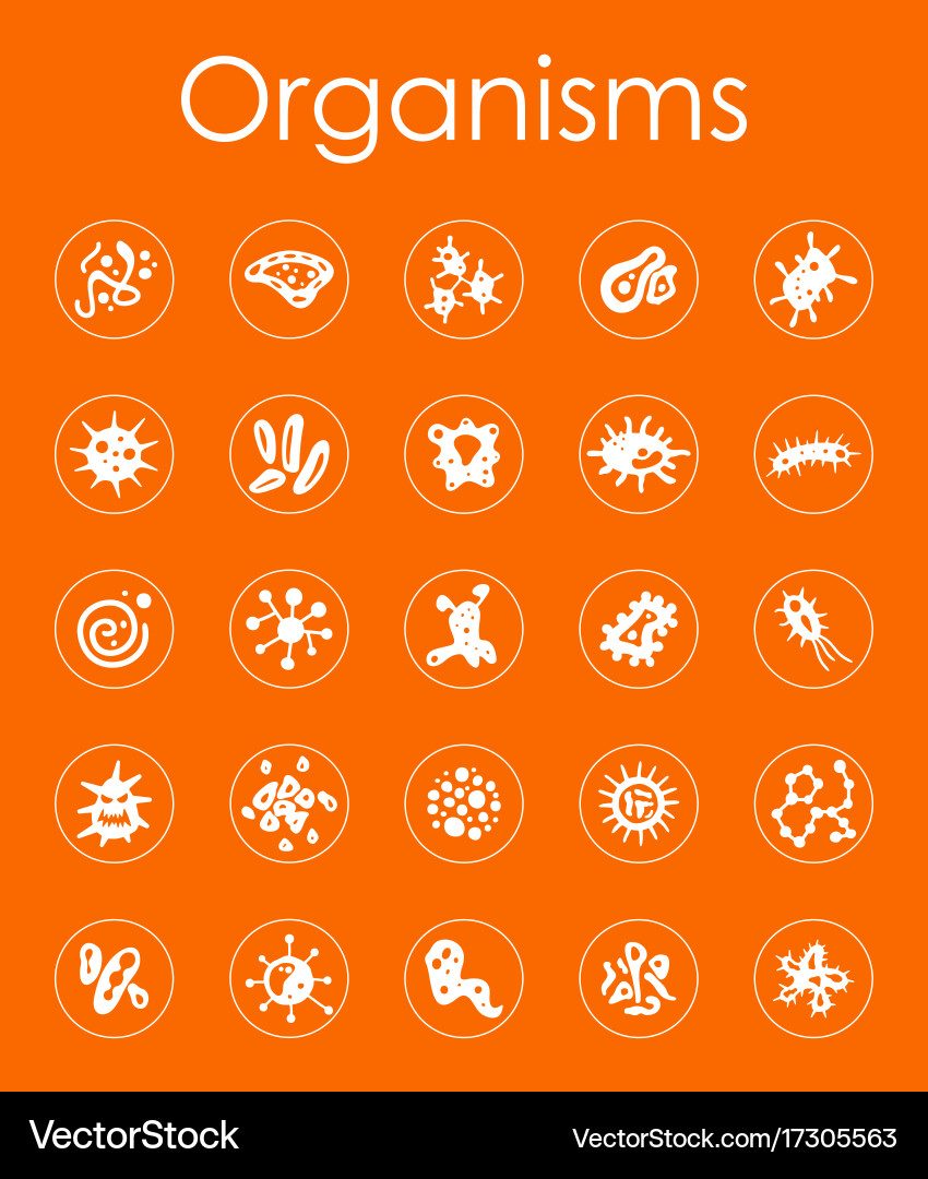Set of organisms simple icons Royalty Free Vector Image