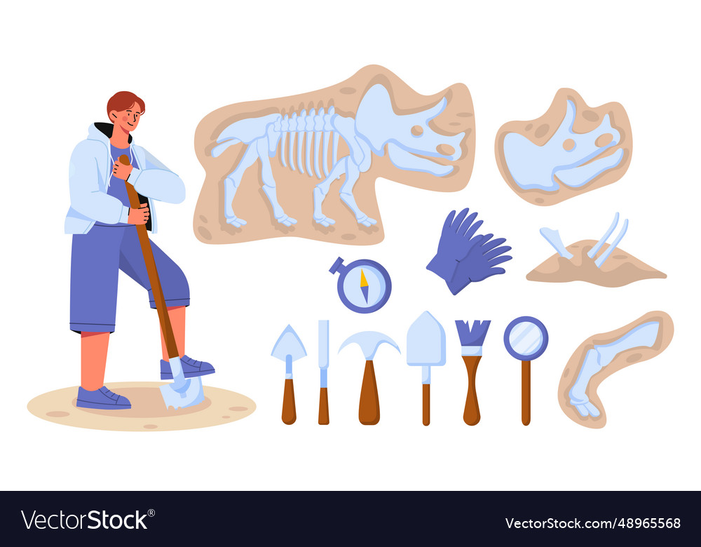 Archaeologist elements set Royalty Free Vector Image