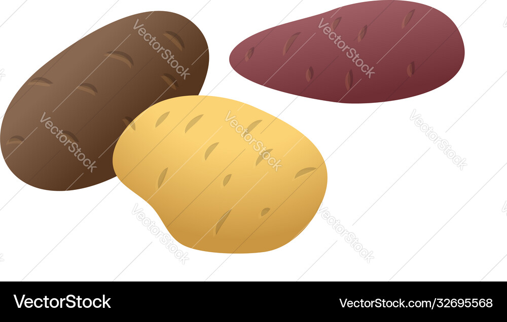 Fresh potato icon cartoon style Royalty Free Vector Image