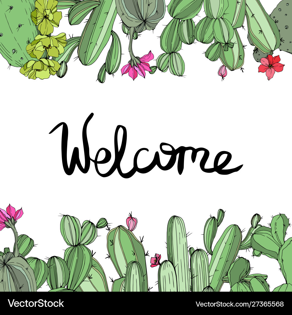 Cactus Flower Border