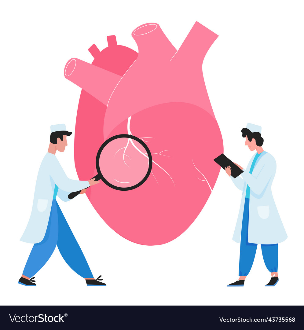 Healthy heart healthcare medical concept Vector Image