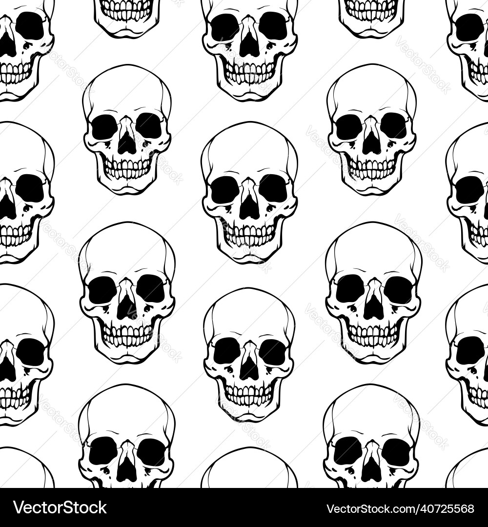 Seamless of white human skulls Royalty Free Vector Image