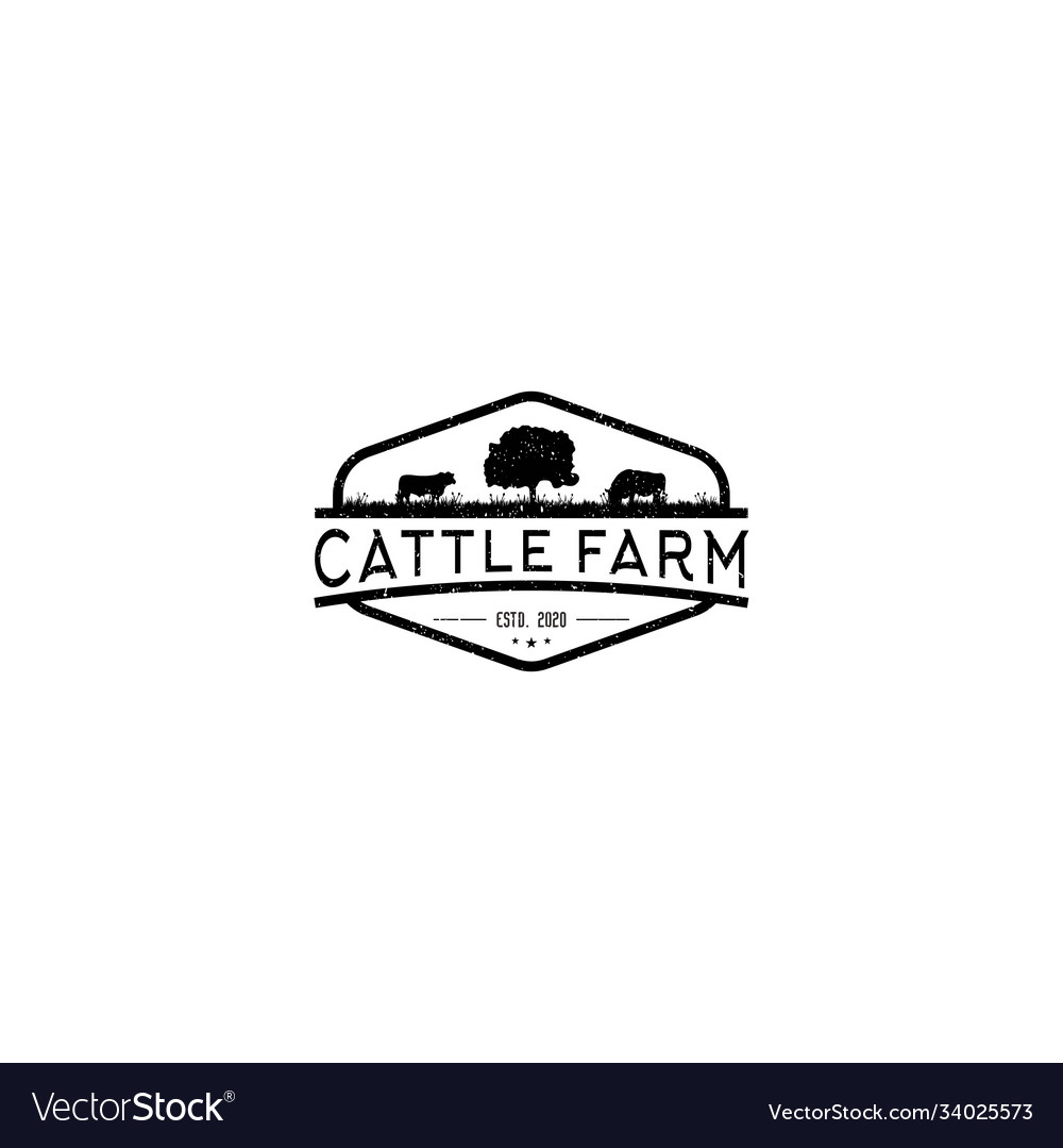 Cattle farm logo design - angus cow Royalty Free Vector