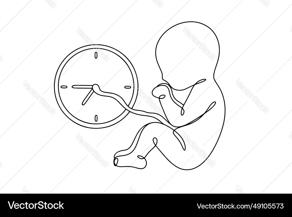 Premature baby watch one line Royalty Free Vector Image