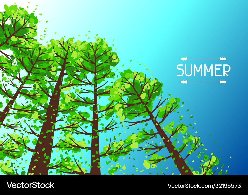 Summer forest background with stylized trees Vector Image