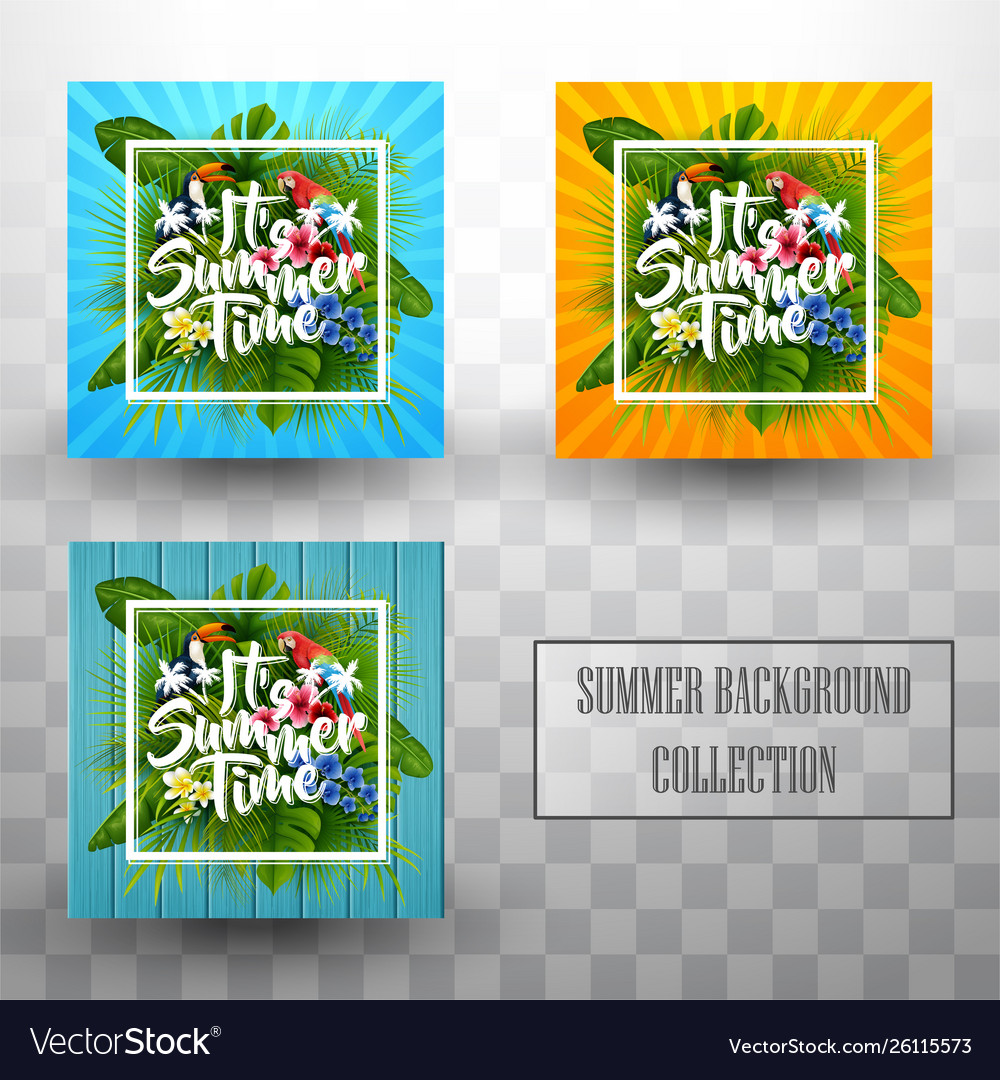 Summer tropical leaves background collections Vector Image