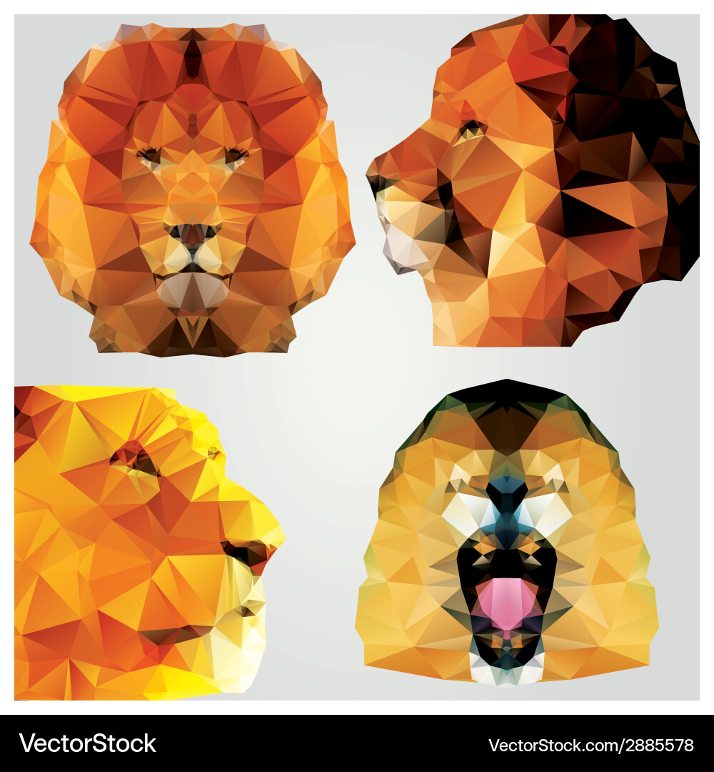 Collection of 4 geometric polygon lions pattern Vector Image