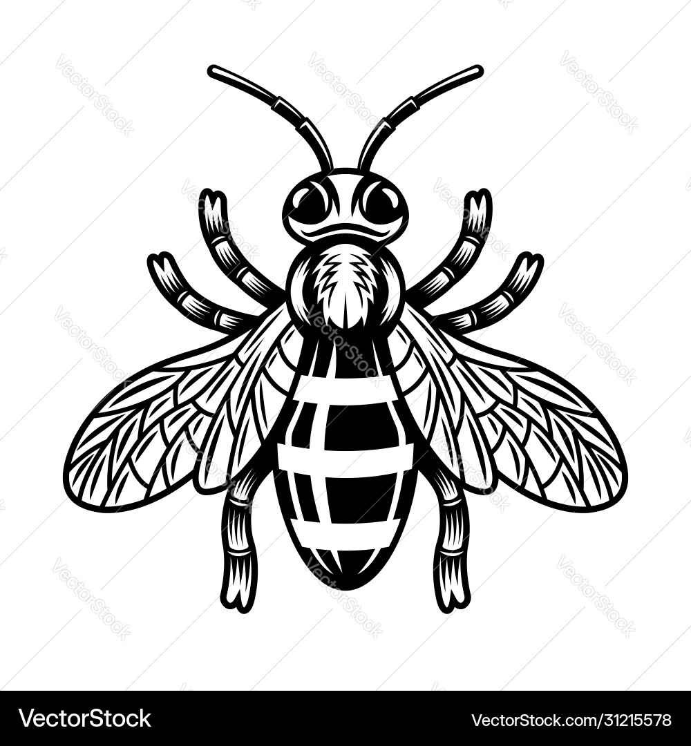 Honey bee in monochrome style Royalty Free Vector Image
