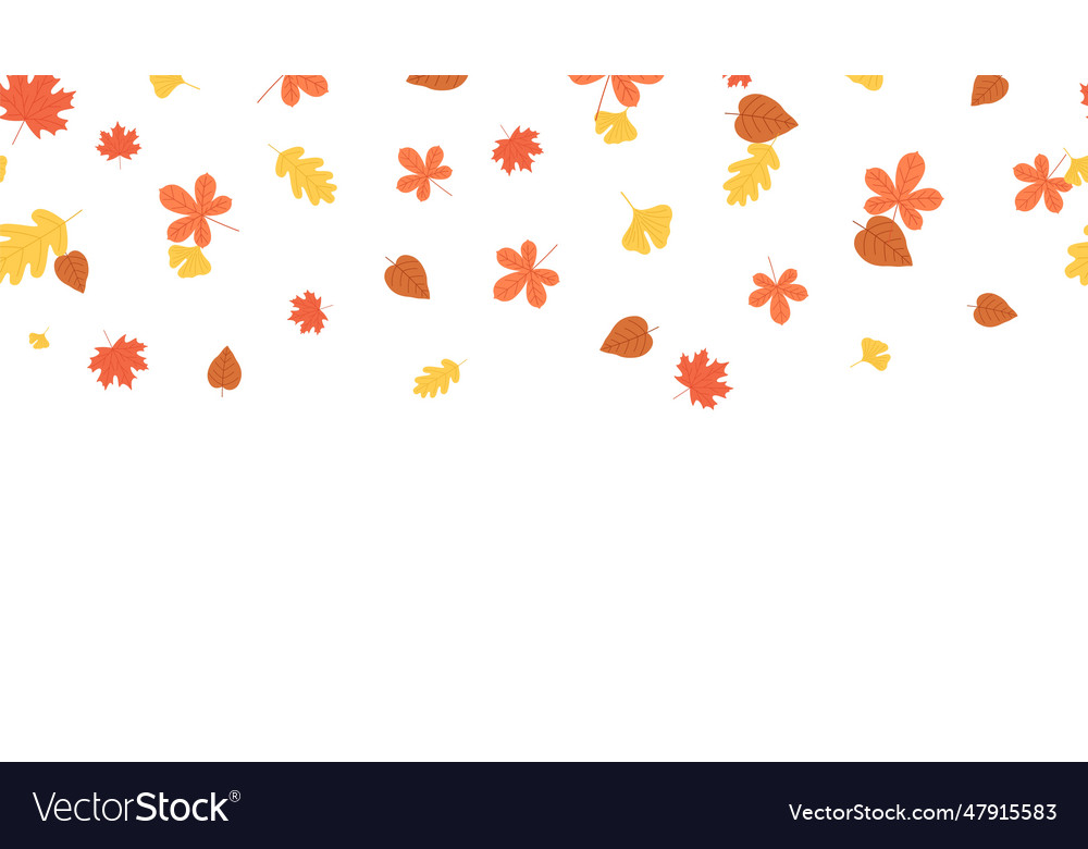 Autumn leaves falling oak and maple leaf fall Vector Image