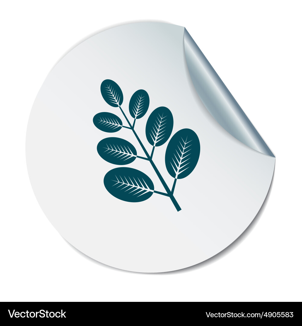 Branch with leaves symbol icon geometry teaching Vector Image