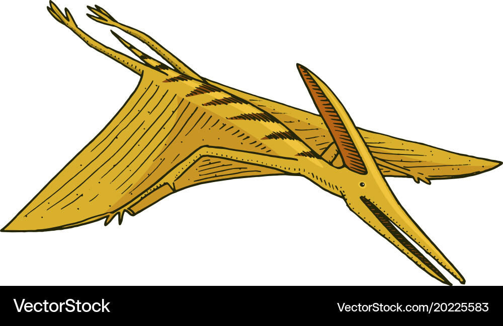 Dinosaur pterosaur skeletons fossils winged Vector Image