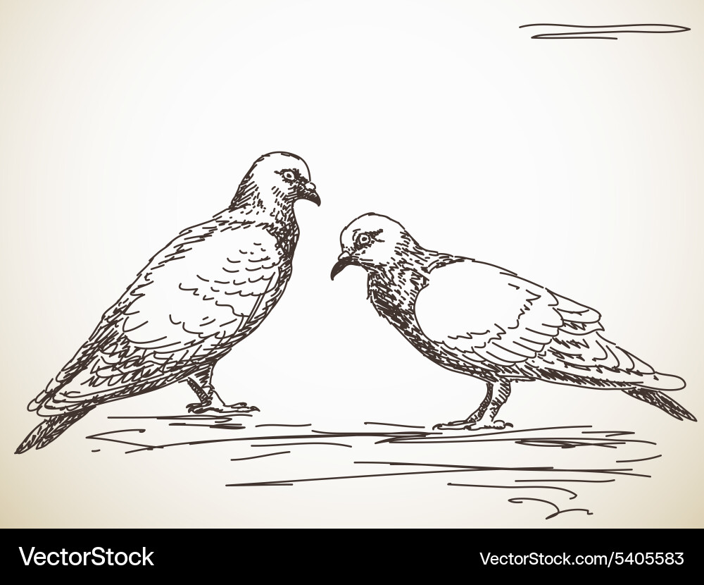Dove bird Royalty Free Vector Image - VectorStock