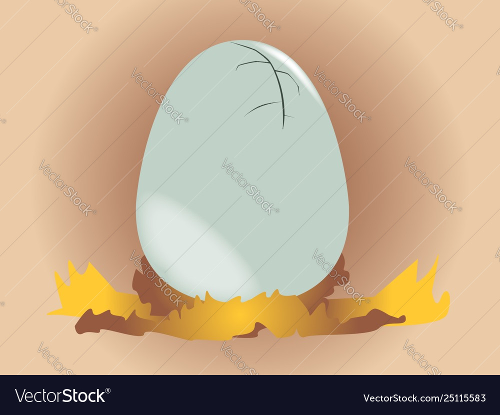 Hatching egg Royalty Free Vector Image - VectorStock