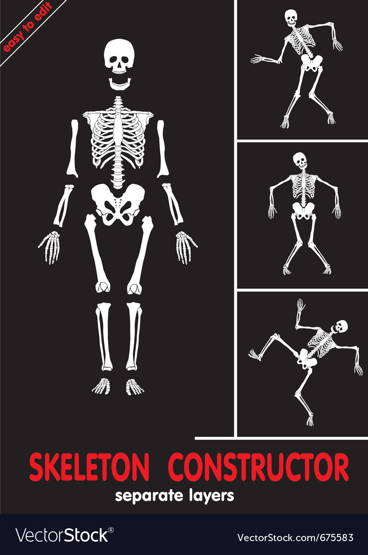 Skeleton constructor Royalty Free Vector Image