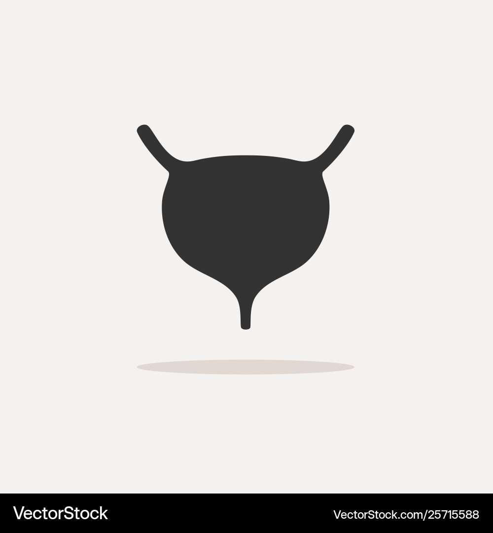Human organ bladder icon with shadow on beige Vector Image