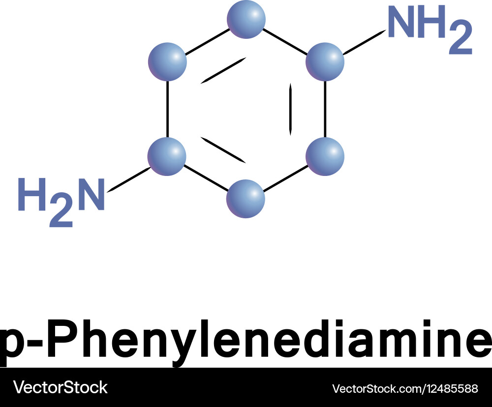P-Phenylenediamine PPD is an organic compound Vector Image