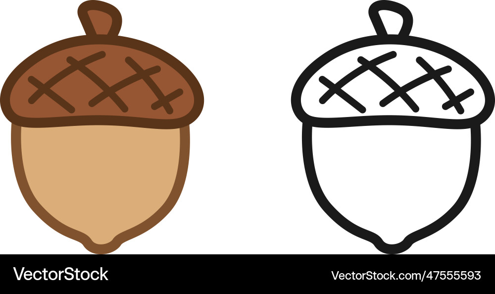 Acorn colored and outline line art set Royalty Free Vector