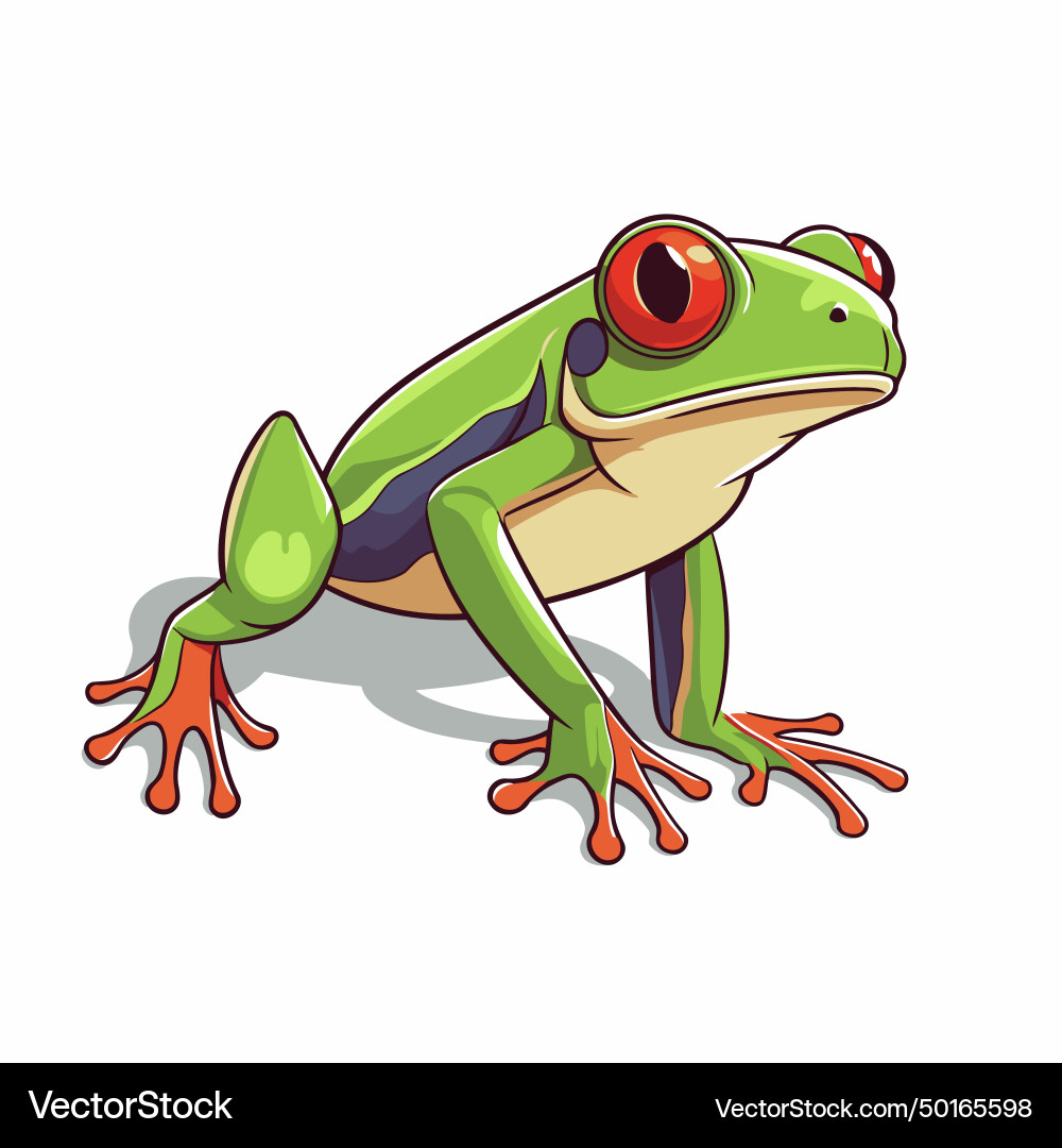 Cartoon green frog isolated on white background Vector Image