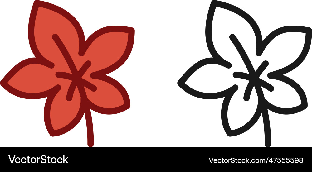 Cute autumn maple leaf colored and outline line Vector Image