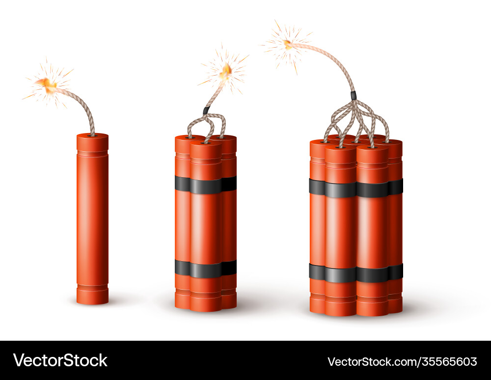 Dynamite bomb with burning wick military detonate Vector Image