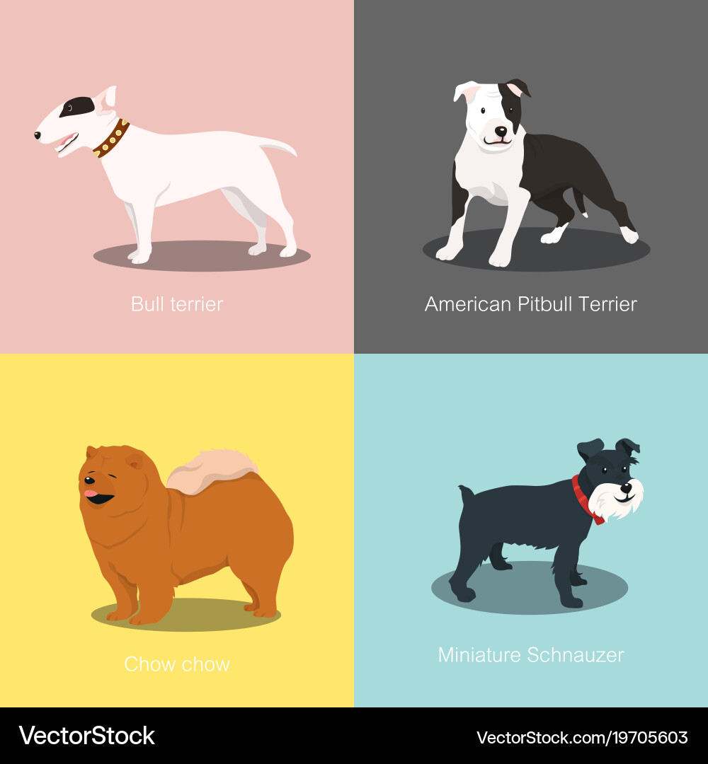 Set of dogs different breed Royalty Free Vector Image