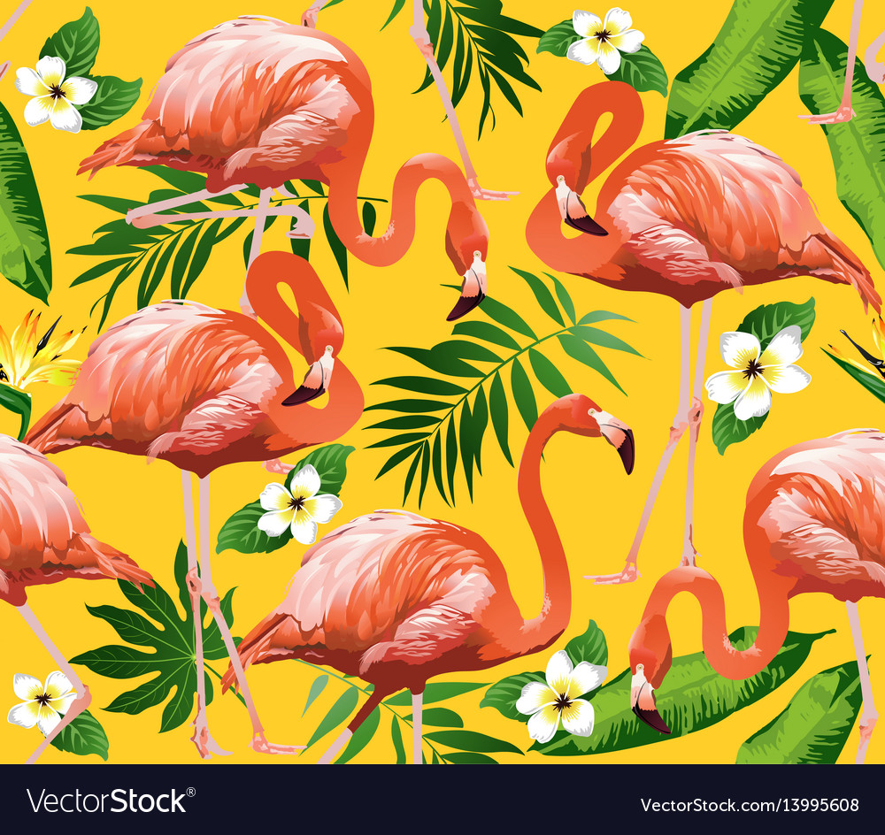 Flamingo Royalty Free Vector Image - VectorStock