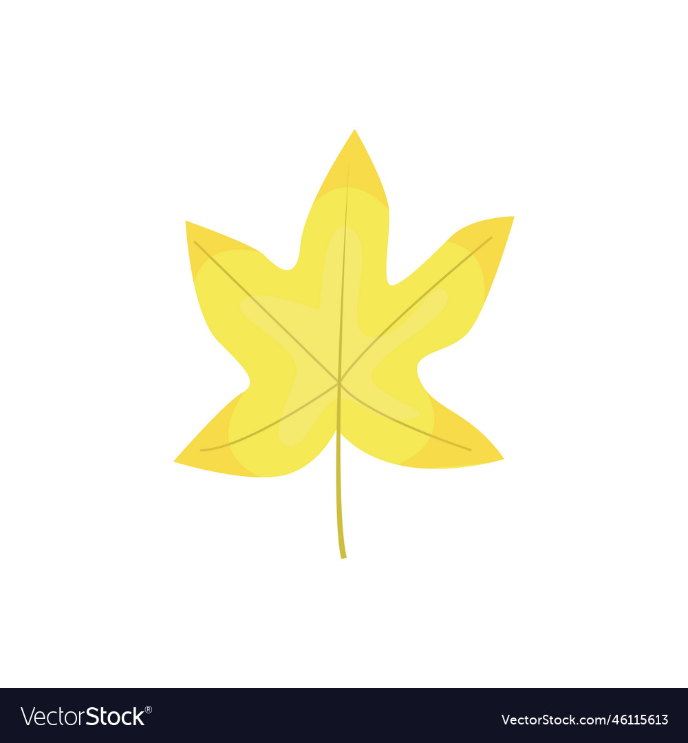Autumn leaves Royalty Free Vector Image - VectorStock
