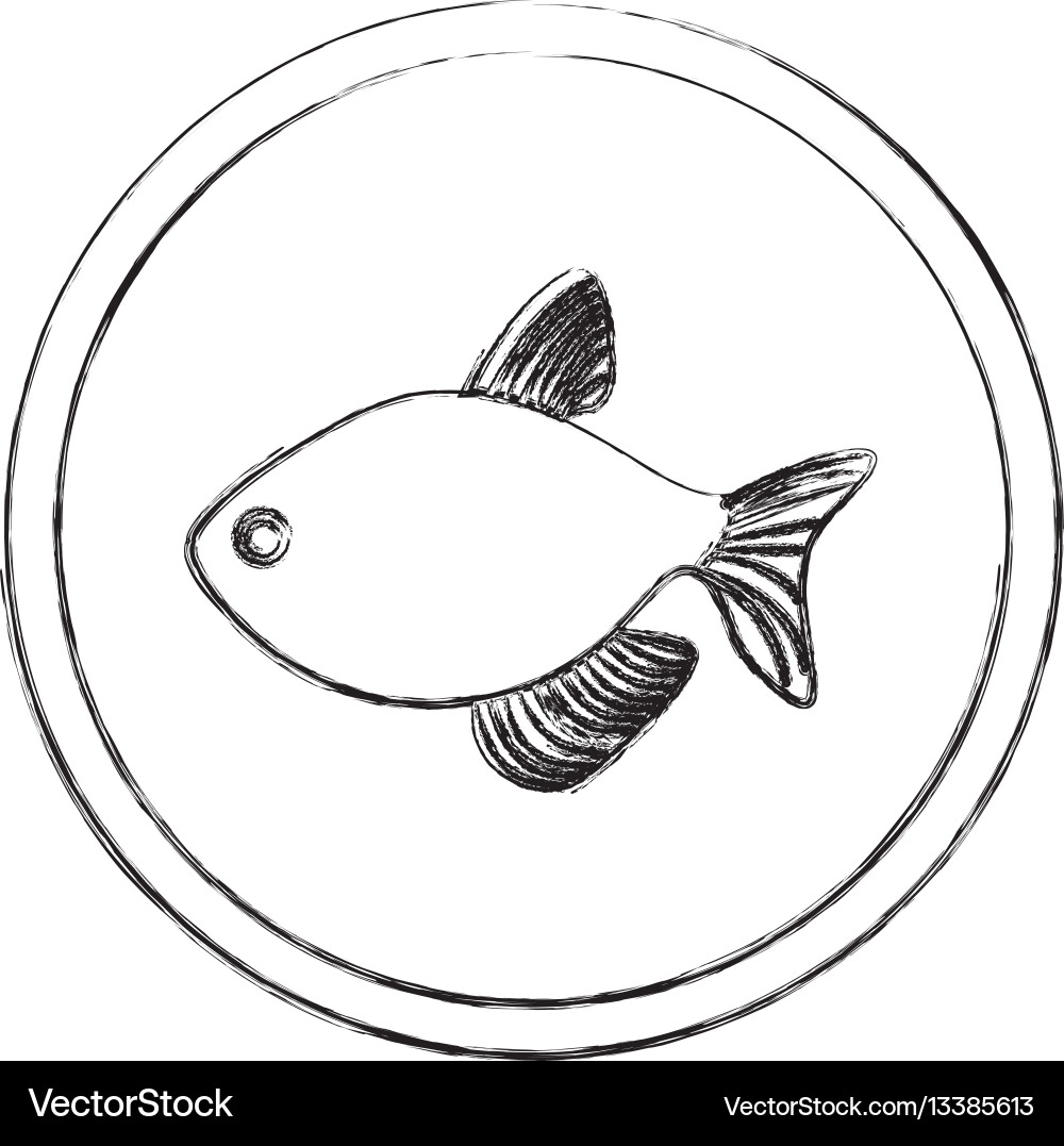 Monochrome blurred line contour with fish Vector Image