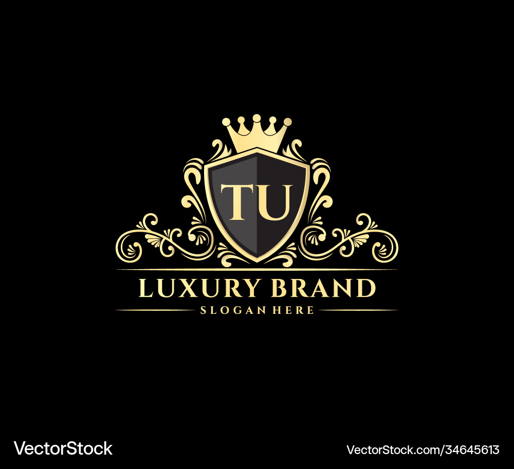Tu initial letter gold calligraphic feminine Vector Image