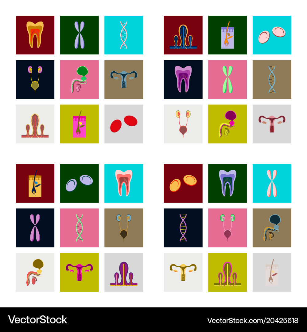 Icons set in flat style human organs cell Vector Image