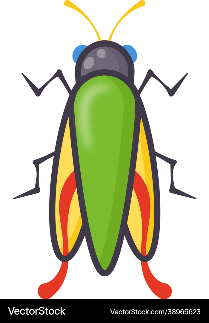 Praying mantis Royalty Free Vector Image - VectorStock