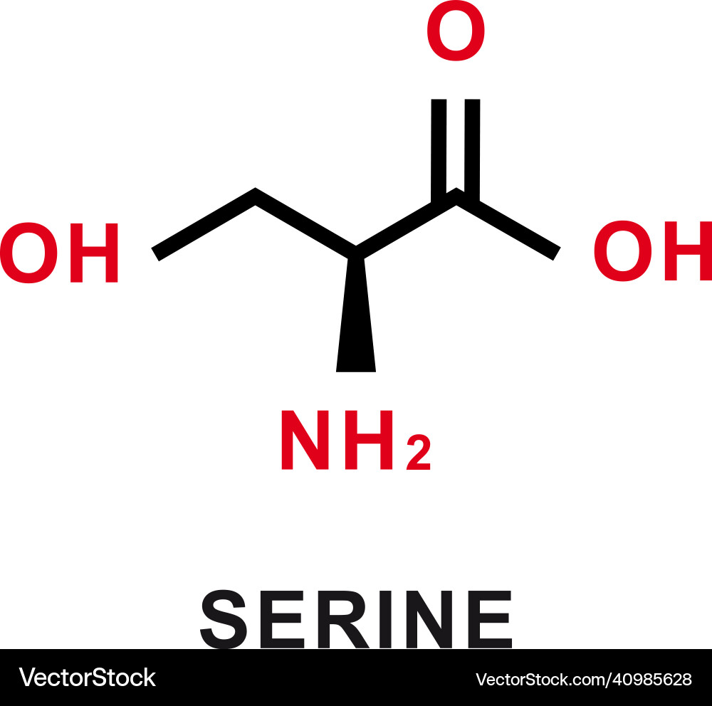 Serine chemical formula chemical molecular Vector Image