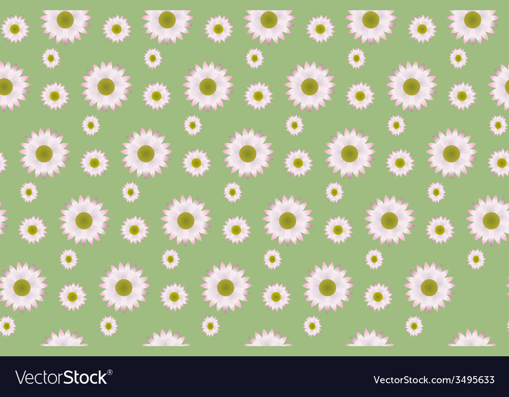 Daisy pattern Royalty Free Vector Image - VectorStock