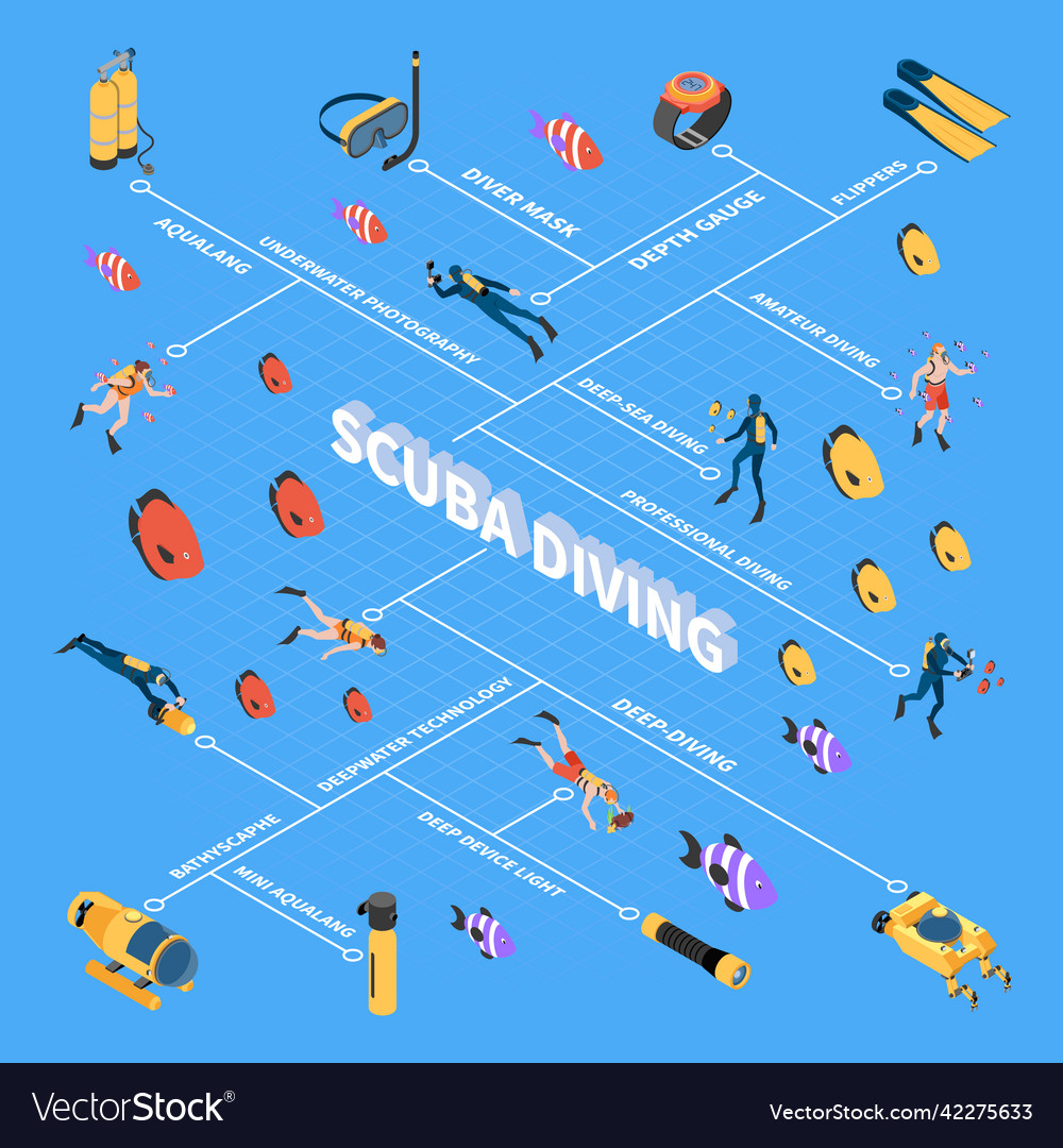 Diving isometric flowchart Royalty Free Vector Image