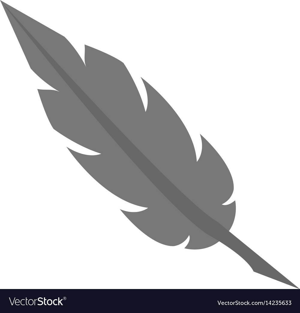 Feather Royalty Free Vector Image - VectorStock