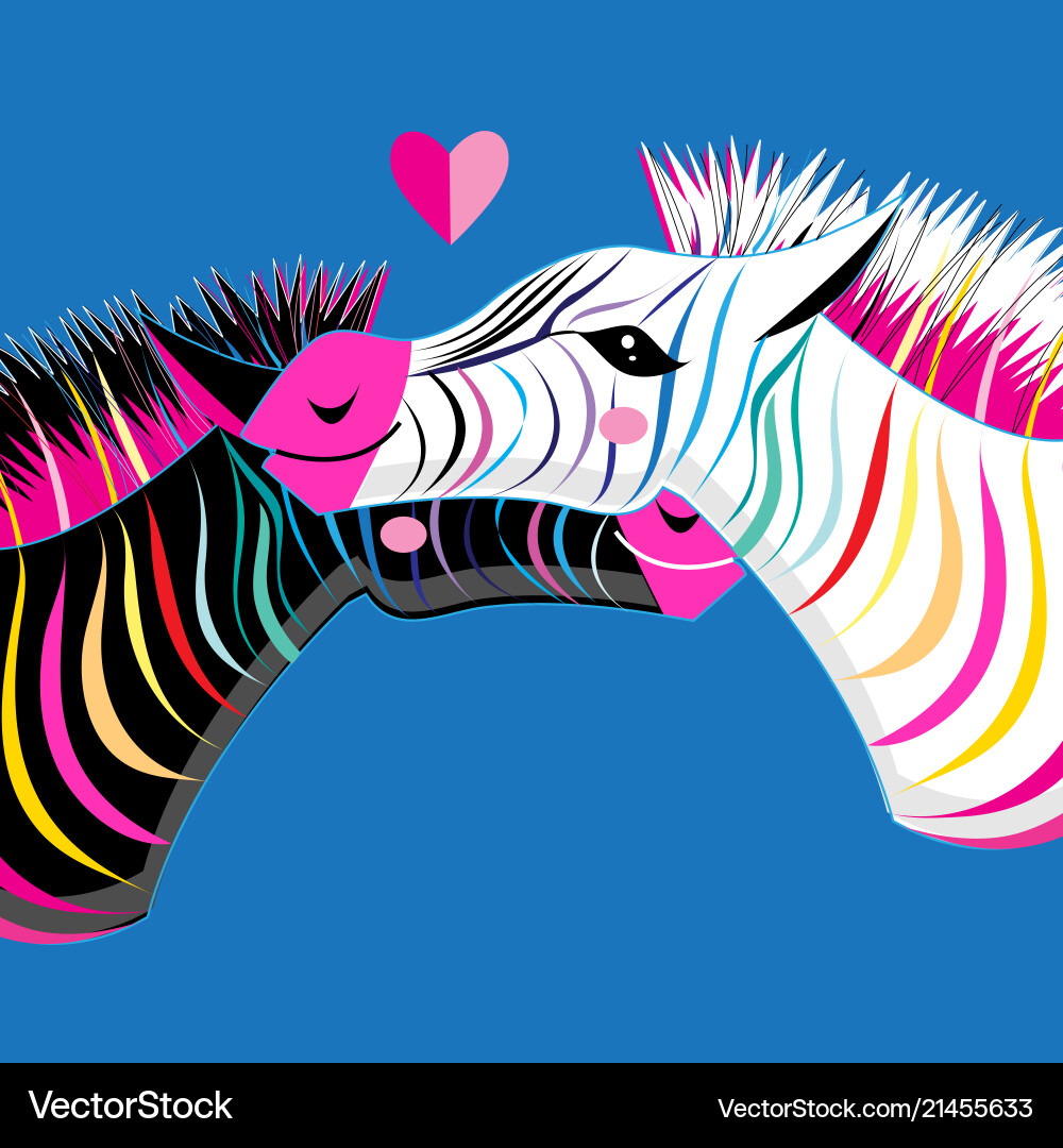Graphics enamored portraits zebras Royalty Free Vector Image