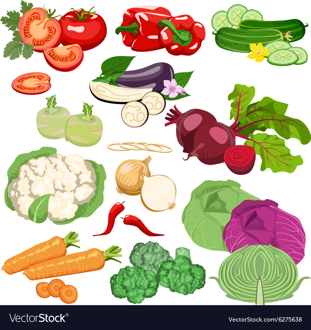Colorful Vegetable Collection Royalty Free Vector Image