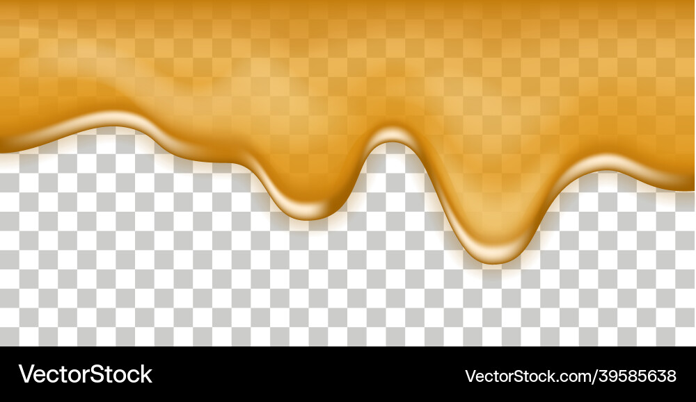 Maple syrup spill honey melted drip isolated Vector Image