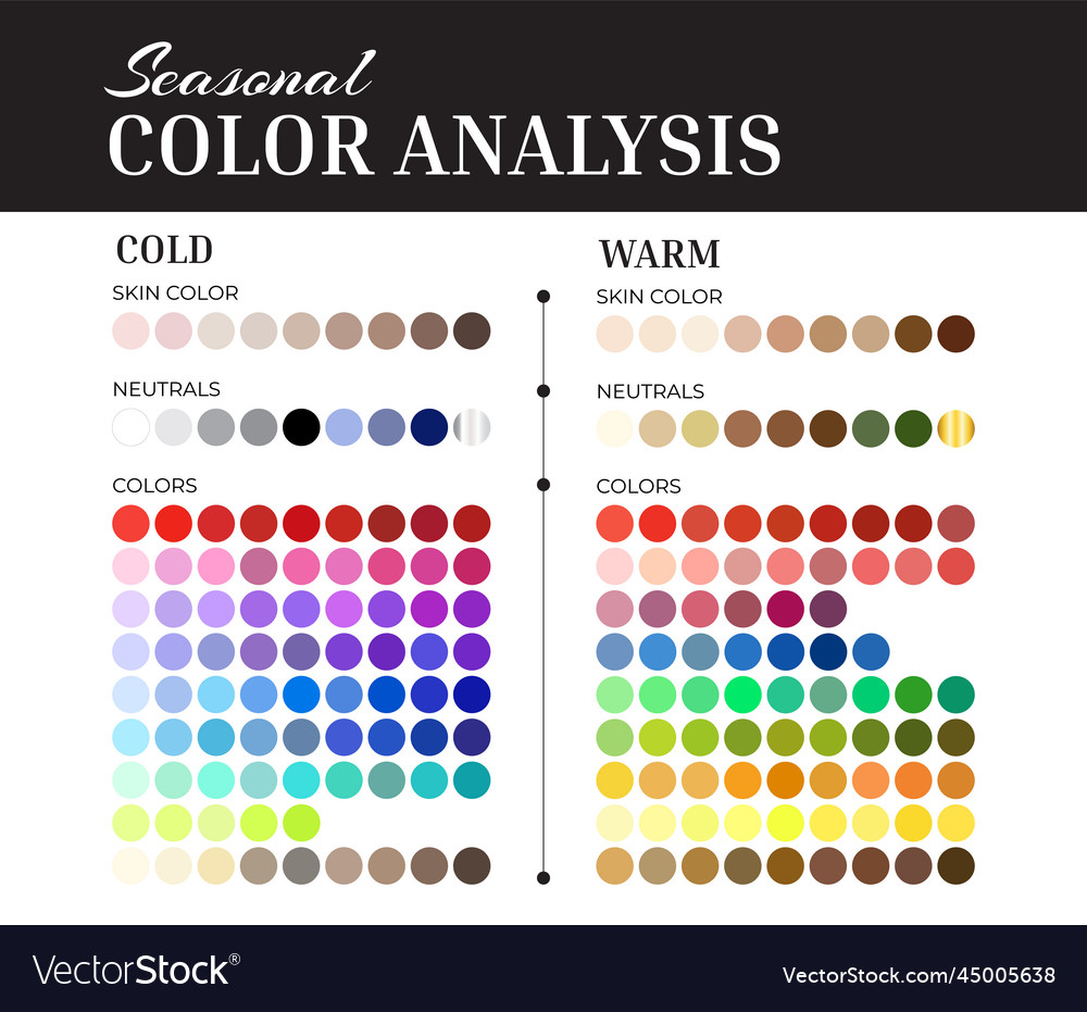 Seasonal color analysis palette with cold Vector Image Seasonal color analysis palette with cold Vector Image