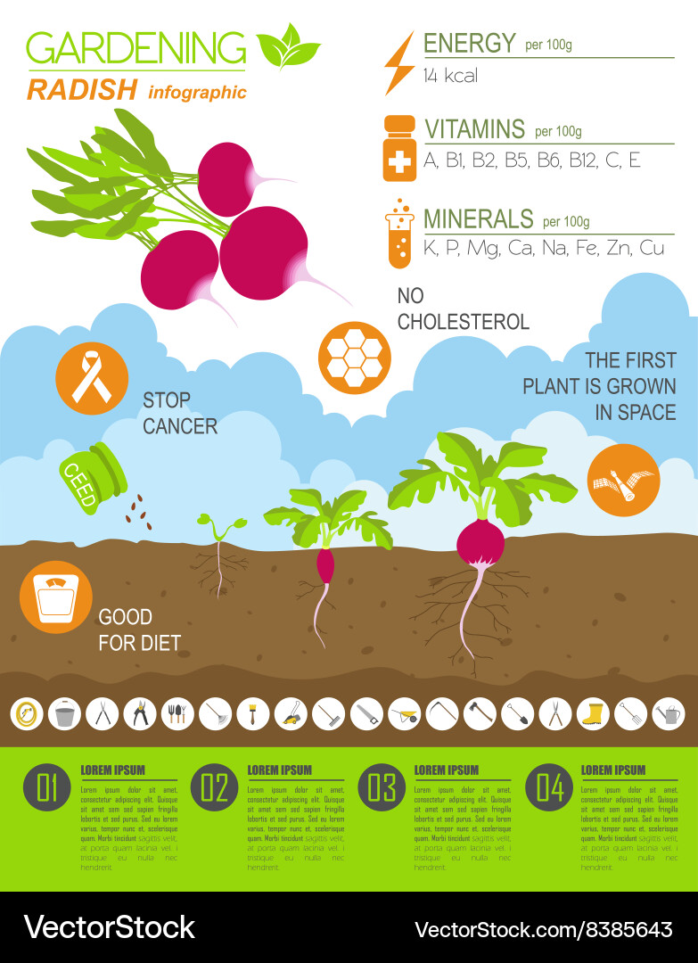 Gardening infographic new 30 Royalty Free Vector Image
