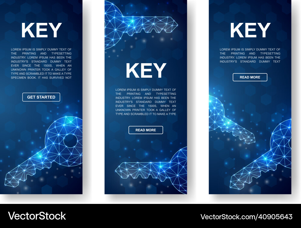 Set of keys blue vertical banners key low poly Vector Image