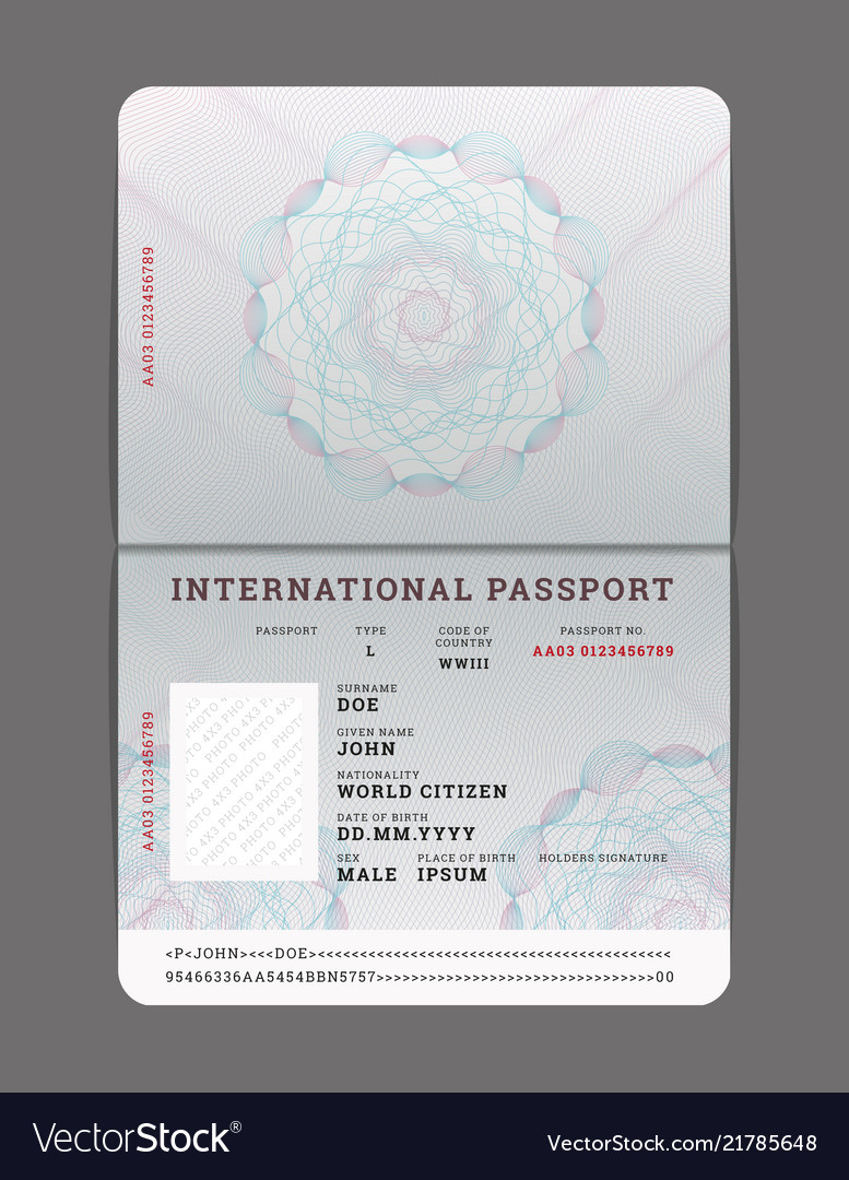 Blank Open Passport Template Royalty Free Vector Image