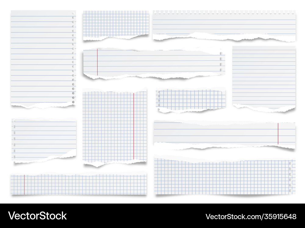 Ripped paper strips isolated on white background Vector Image