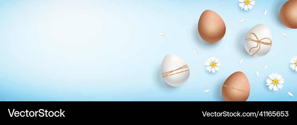 A horizontal banner for the celebration of easter Vector Image