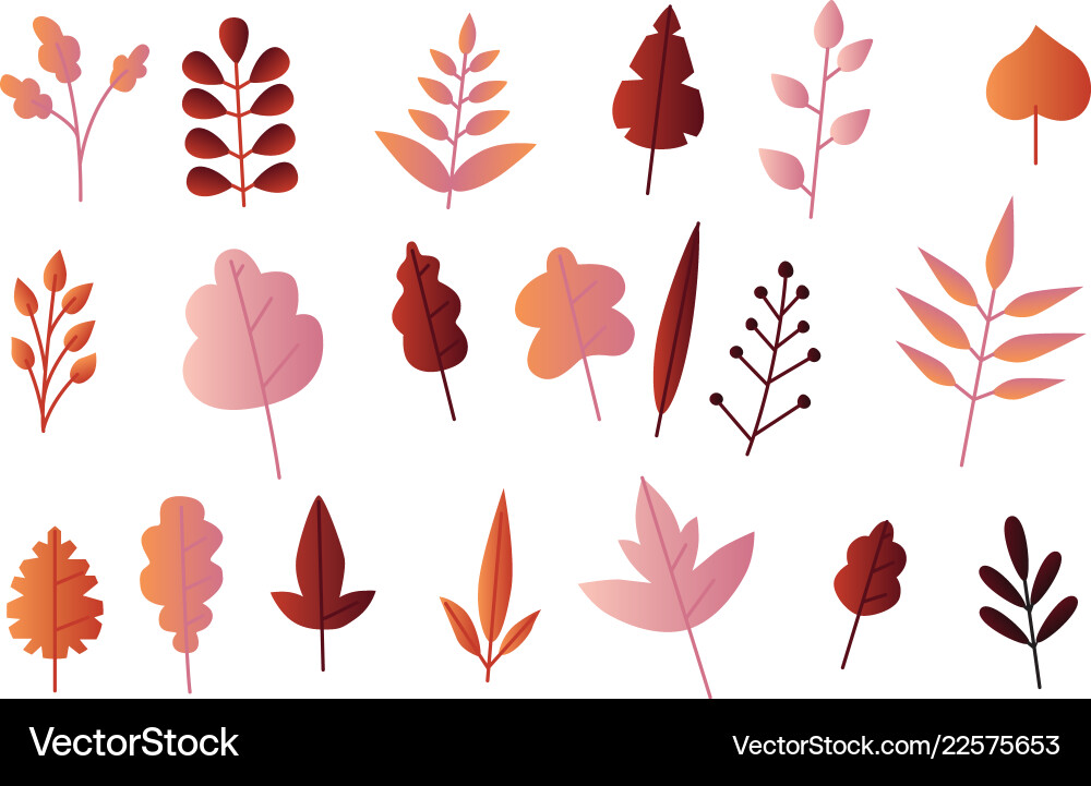 Autumn leaves set in flat Royalty Free Vector Image