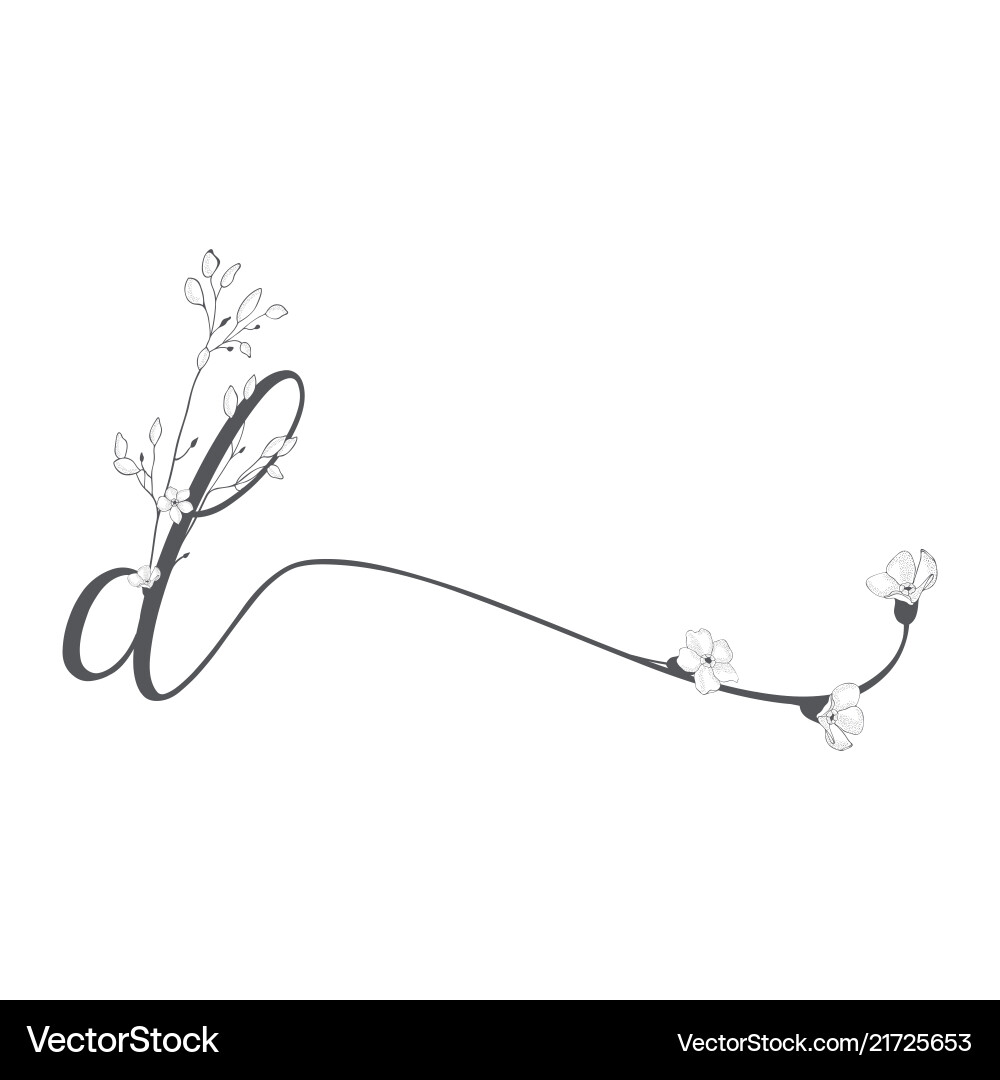 Hand drawn floral d monogram and logo Royalty Free Vector