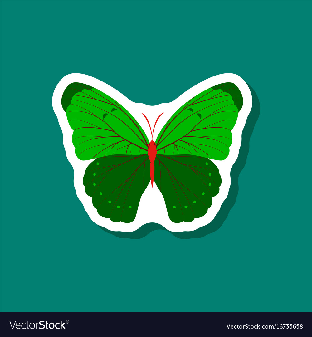 Butterfly Paper Sticker On Stylish Background Vector Image
