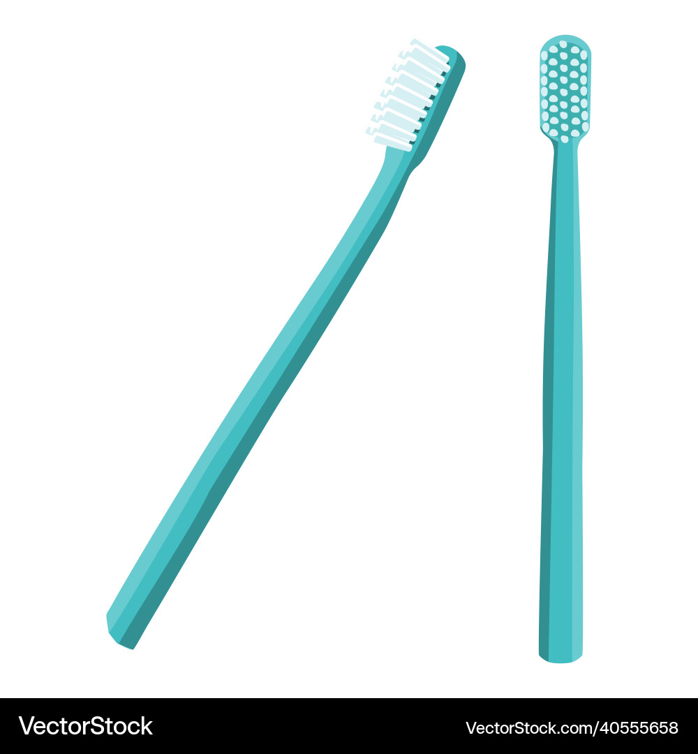 Dental concept toothbrush Royalty Free Vector Image