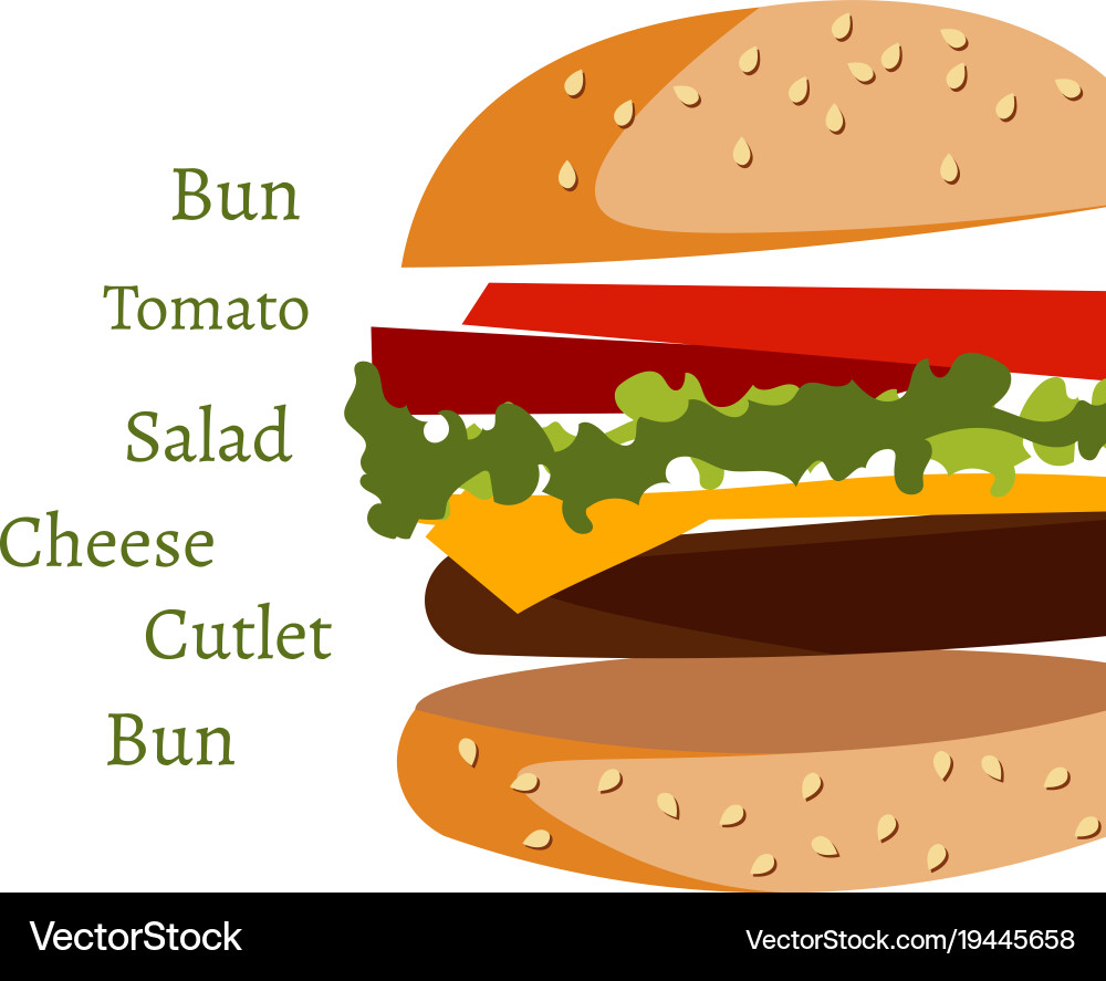 Ingredients in burger on white background Vector Image